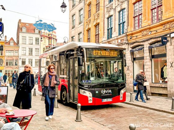 How to Get Around Lille (with real examples) - MasterOfCooking